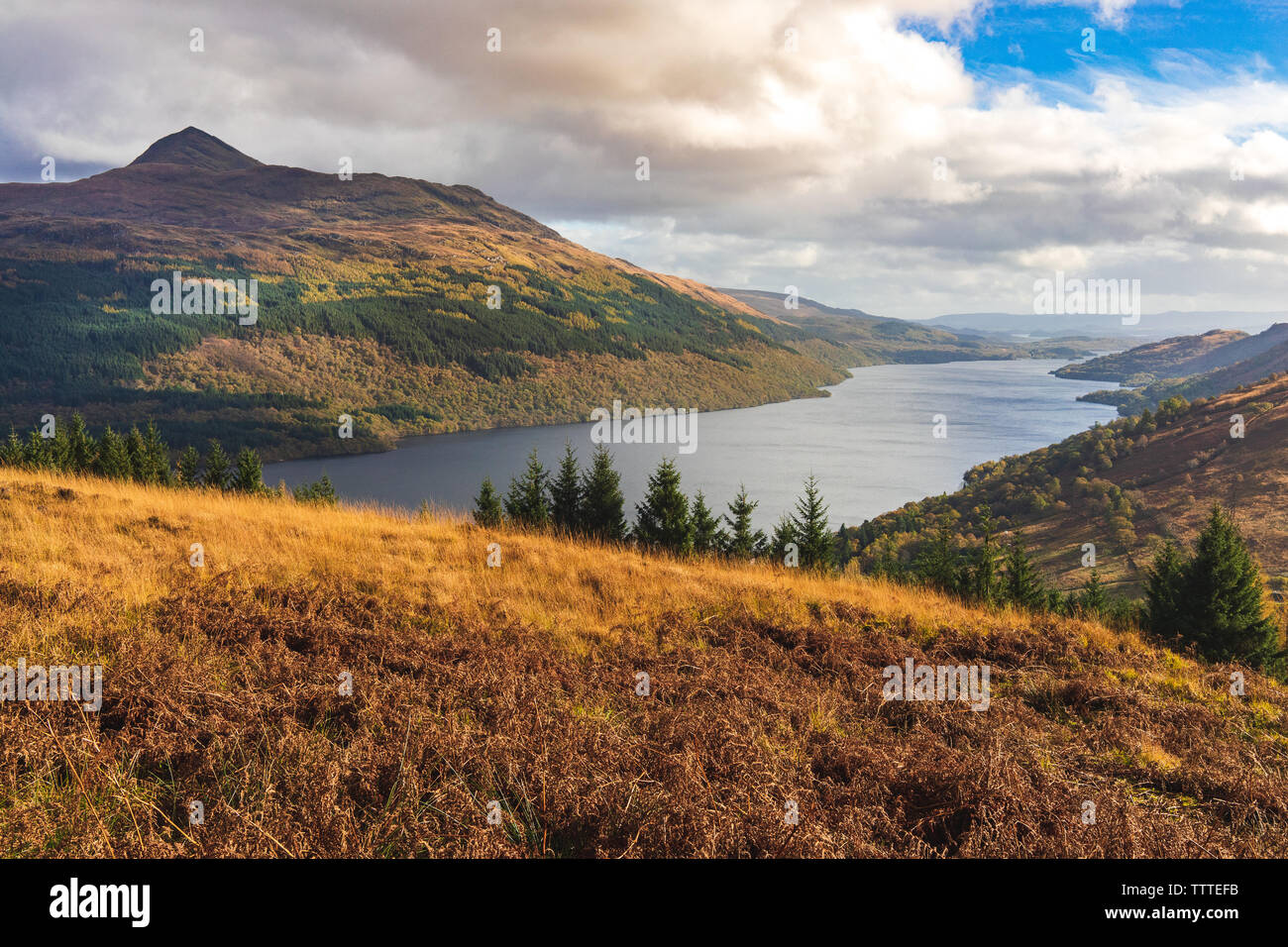 Loch lomond and trossachs autumn hi-res stock photography and images ...