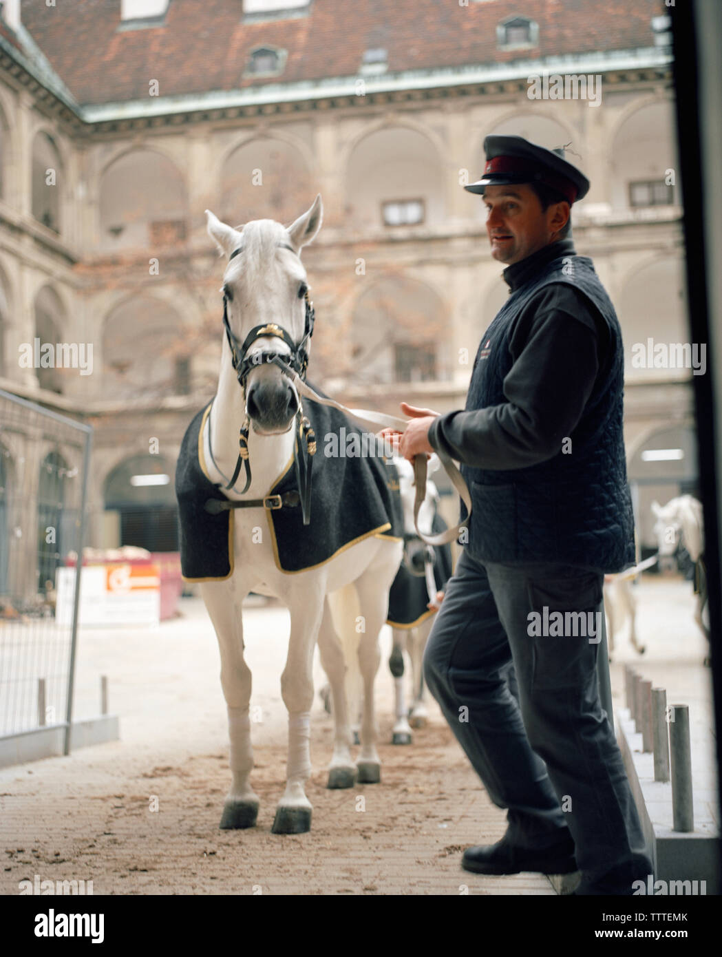 Lipizzaner Stallions Vienna High Resolution Stock Photography and Images - Alamy