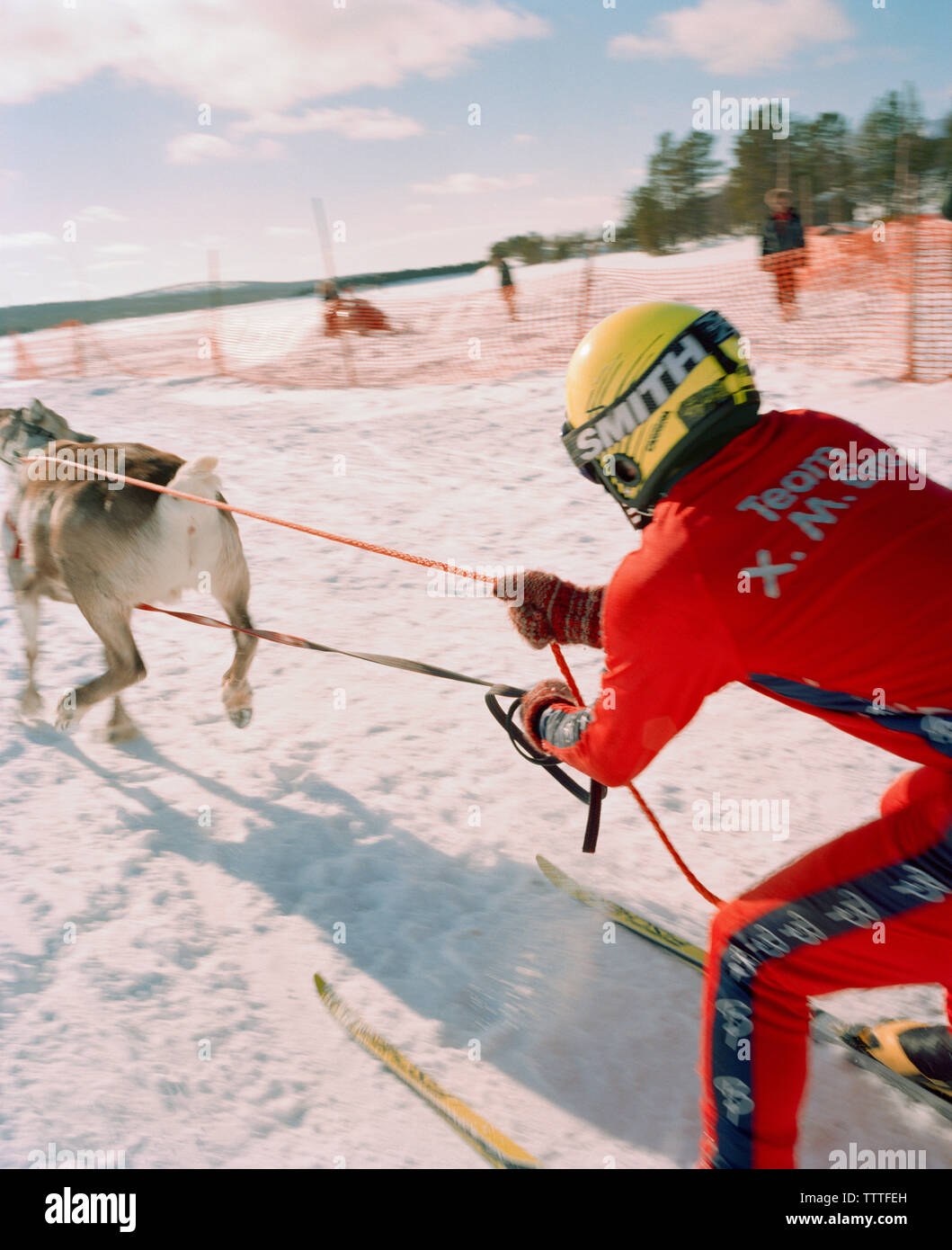 Arctic competition hi-res stock photography and images - Alamy