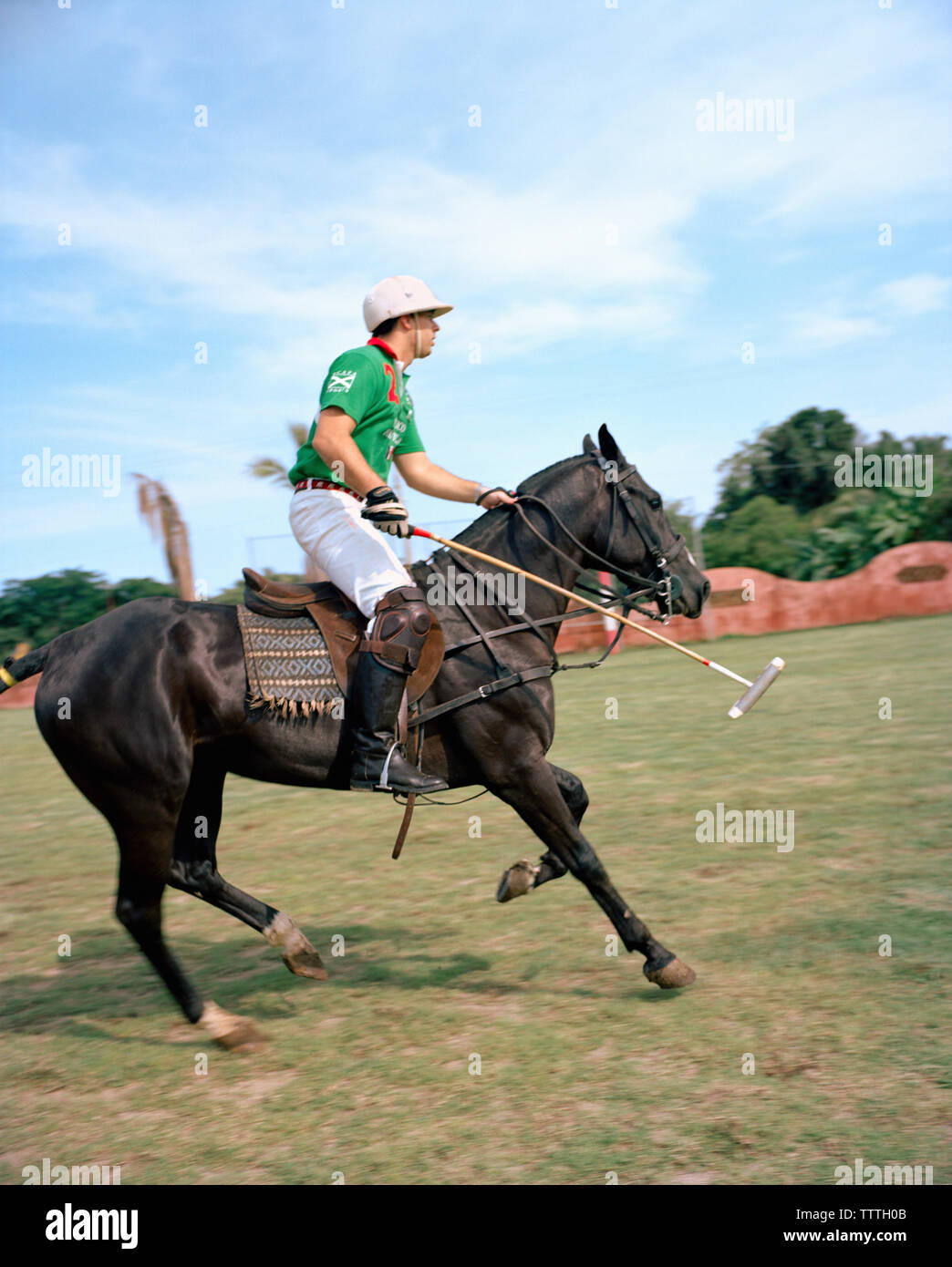 MEXICO, San Pancho, Robin Reyes on horse playing polo at Rancho La ...