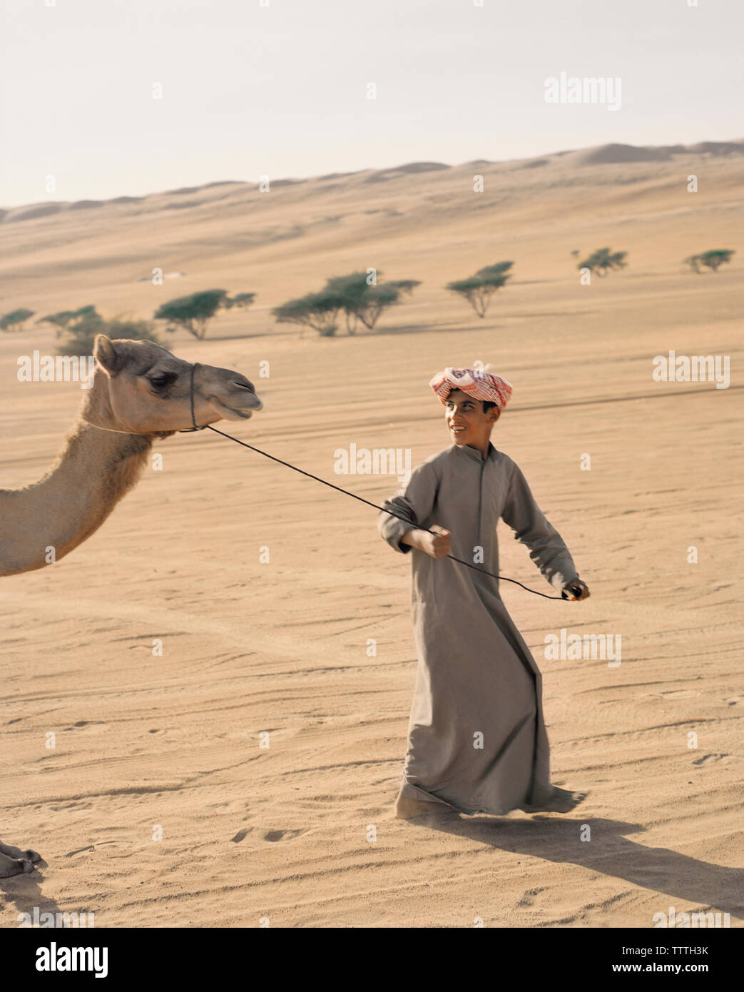 OMAN, Wahiba Sands, teenage boy leading camel in Wahiba Sands Stock ...