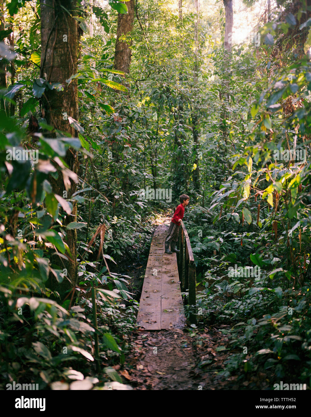 PERU, Amazon Rainforest, South America, Latin America, boy looking at ...