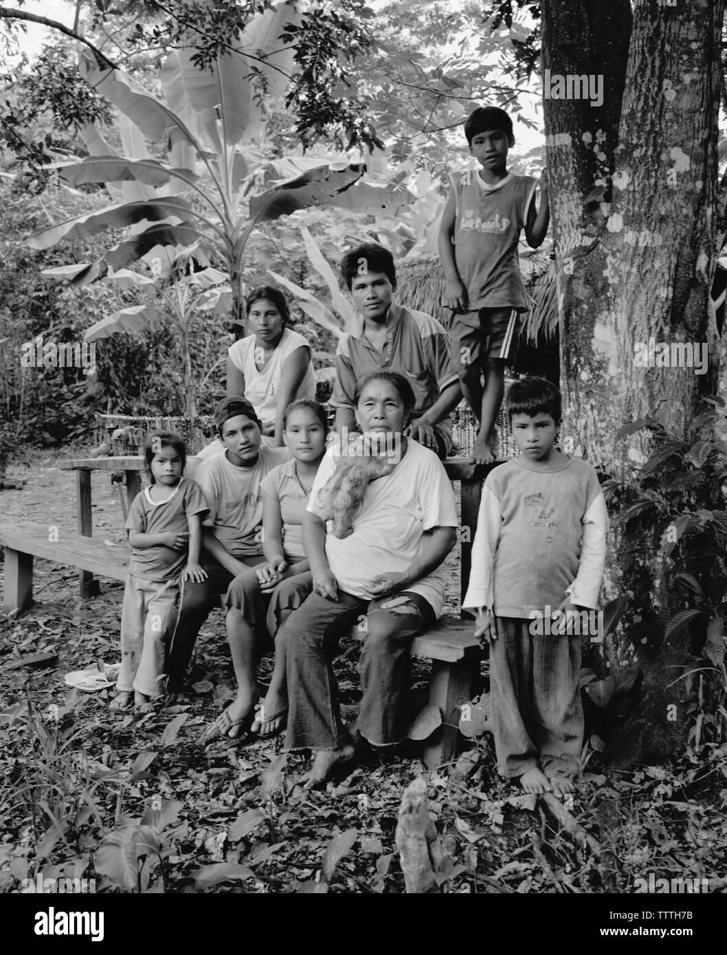 PERU, Amazon Rainforest, South America, Latin America, portrait of a ...