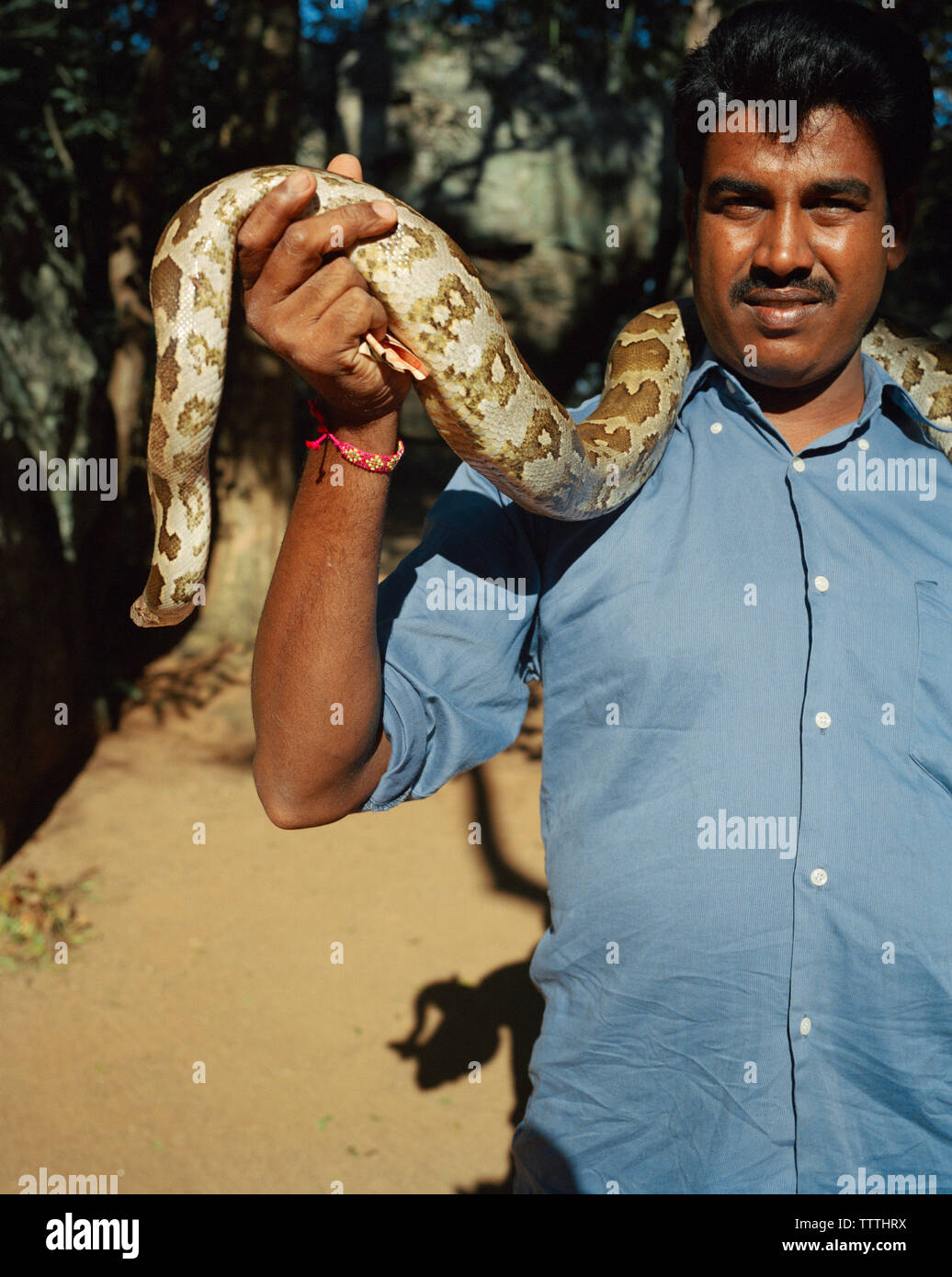 SRI LANKA, Asia, Sigiriya, portrait of snake charmer holding snake ...