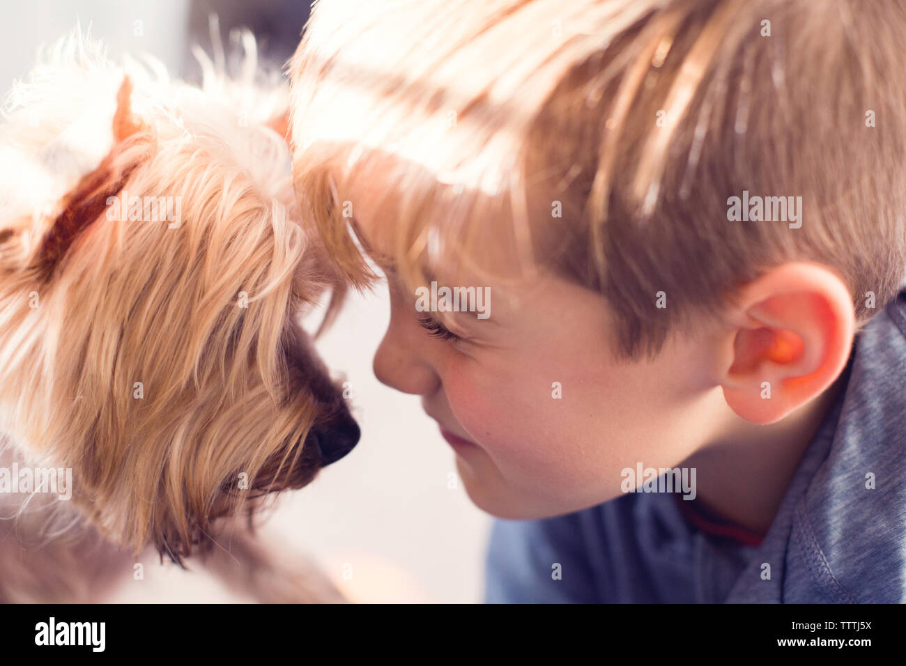 Sharing with animals hi-res stock photography and images - Alamy