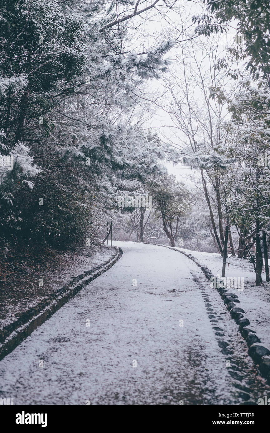 Road covered with trees hi-res stock photography and images - Alamy