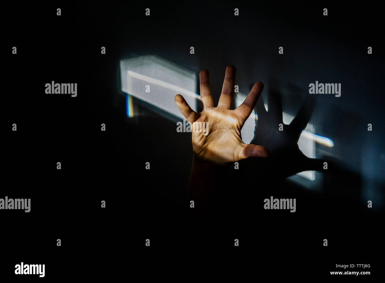 cropped view of hand reaching towards the light Stock Photo - Alamy