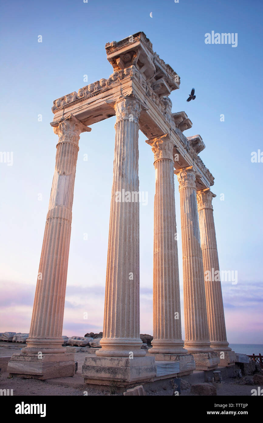 Architectural columns hi-res stock photography and images - Alamy