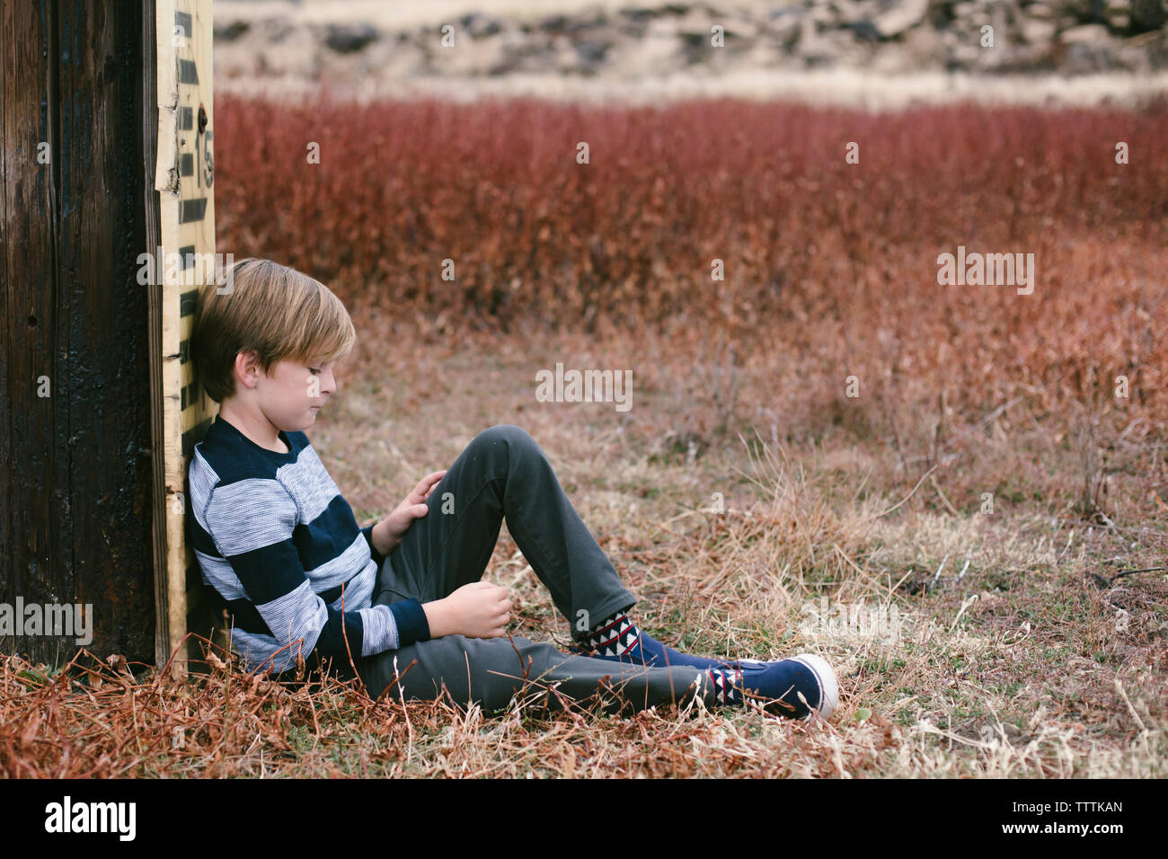 Side view of boy sitting on field by wood Stock Photo - Alamy