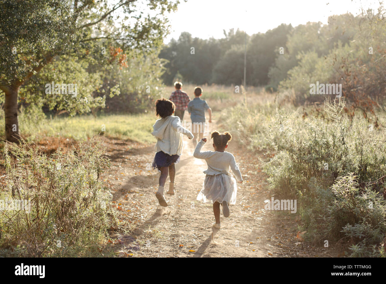 Family running on the park hi-res stock photography and images - Alamy