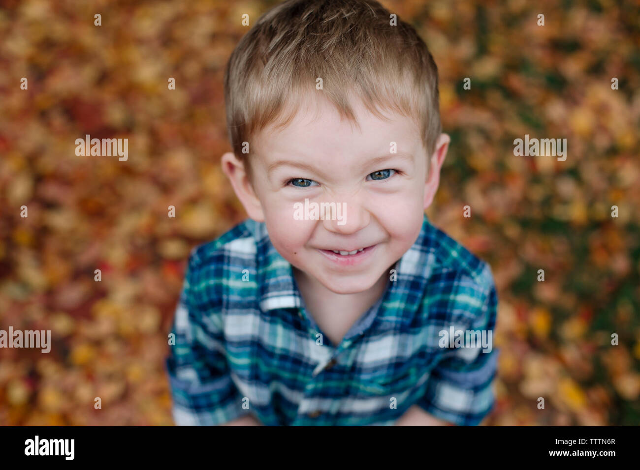 Cute smiling boy standing hi-res stock photography and images - Alamy