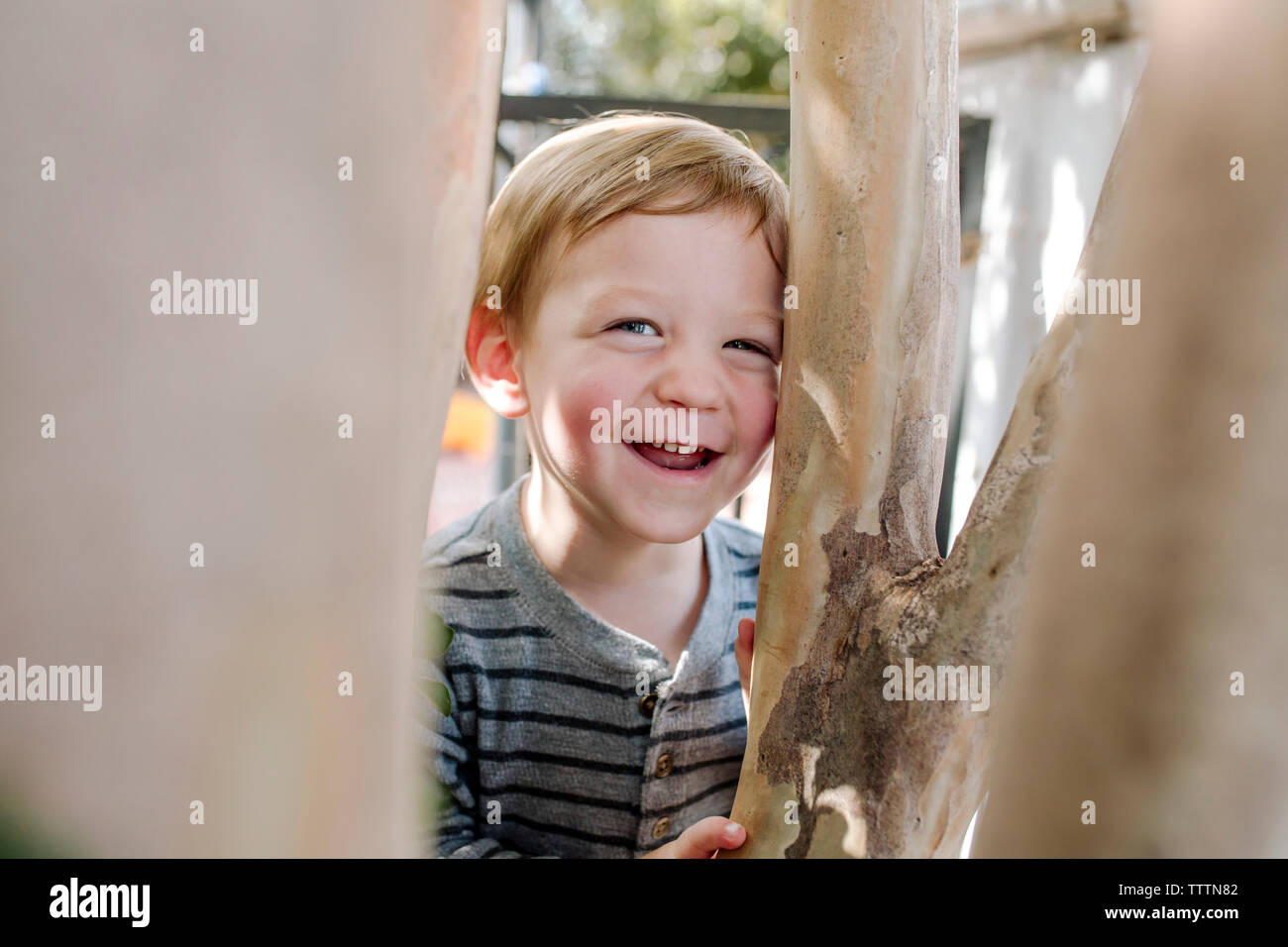 Portrait of cute cheerful baby boy playing by tree trunks at park Stock ...