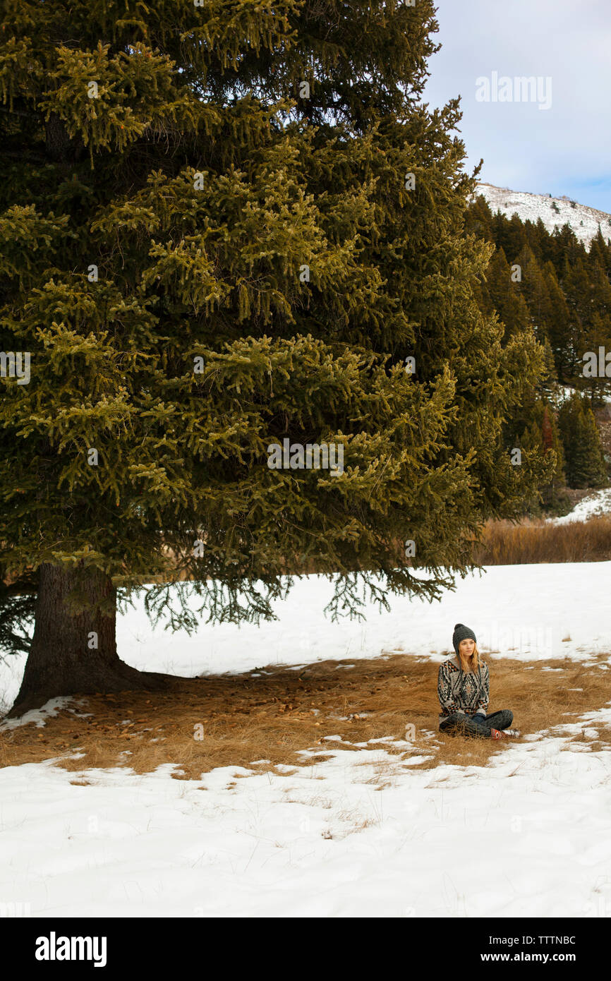 Woman relaxing under tree hi-res stock photography and images - Alamy