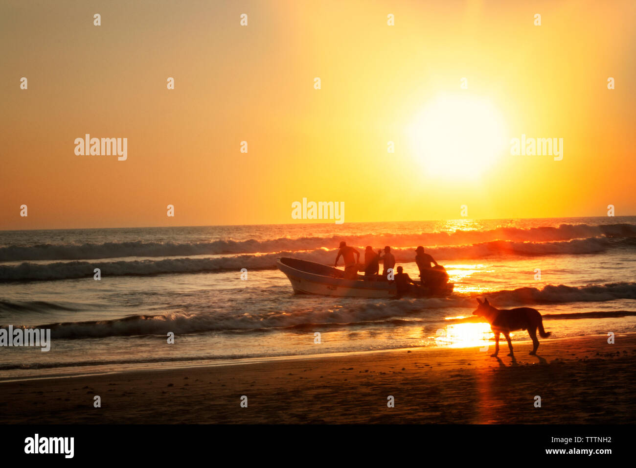 People sailing boat at shore during sunset Stock Photo - Alamy