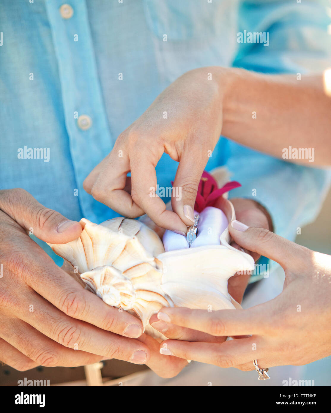 Shell ring hi-res stock photography and images - Alamy