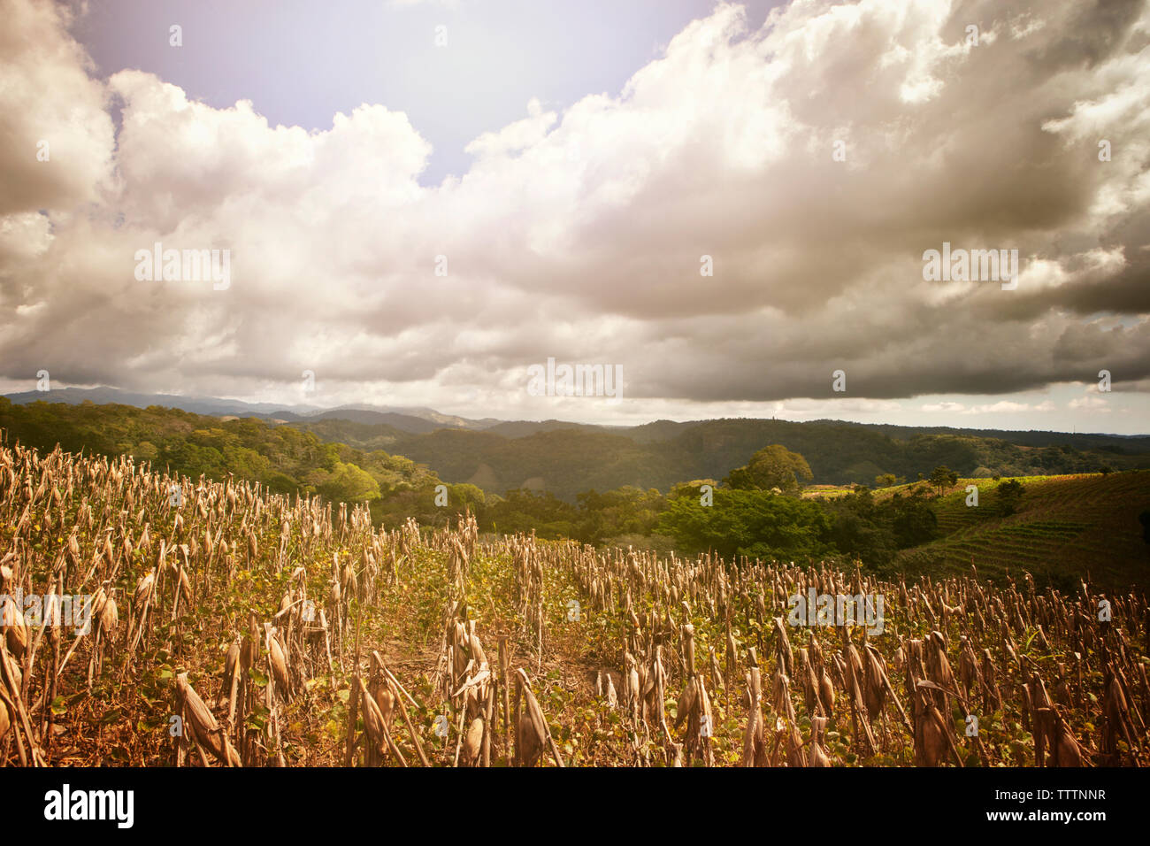 Scenic view farm mountains hi-res stock photography and images - Alamy