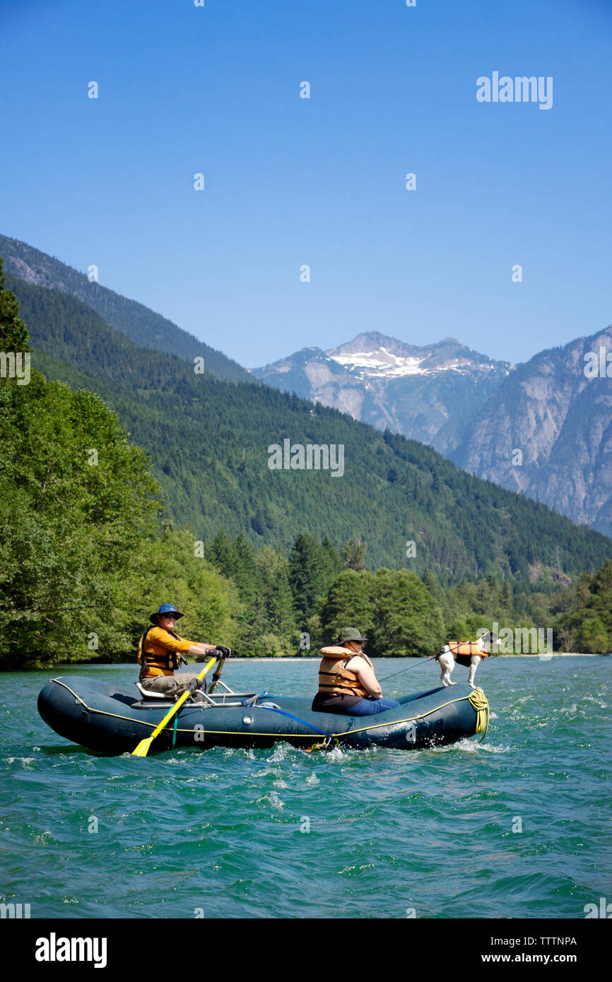 Rowing inflatable with dog hi-res stock photography and images - Alamy