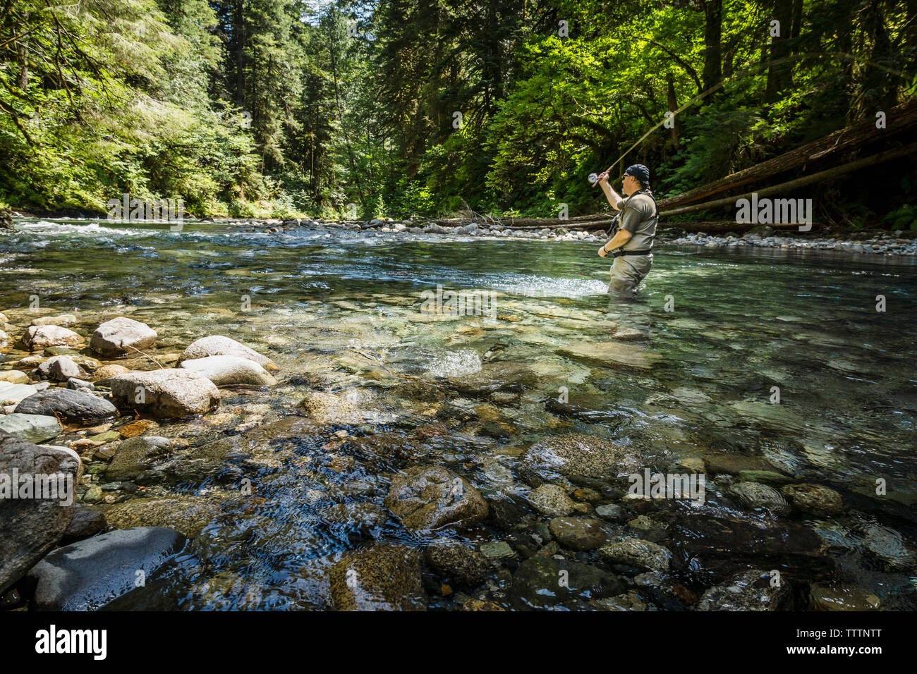 Side view of man fishing in lake by trees Stock Photo - Alamy