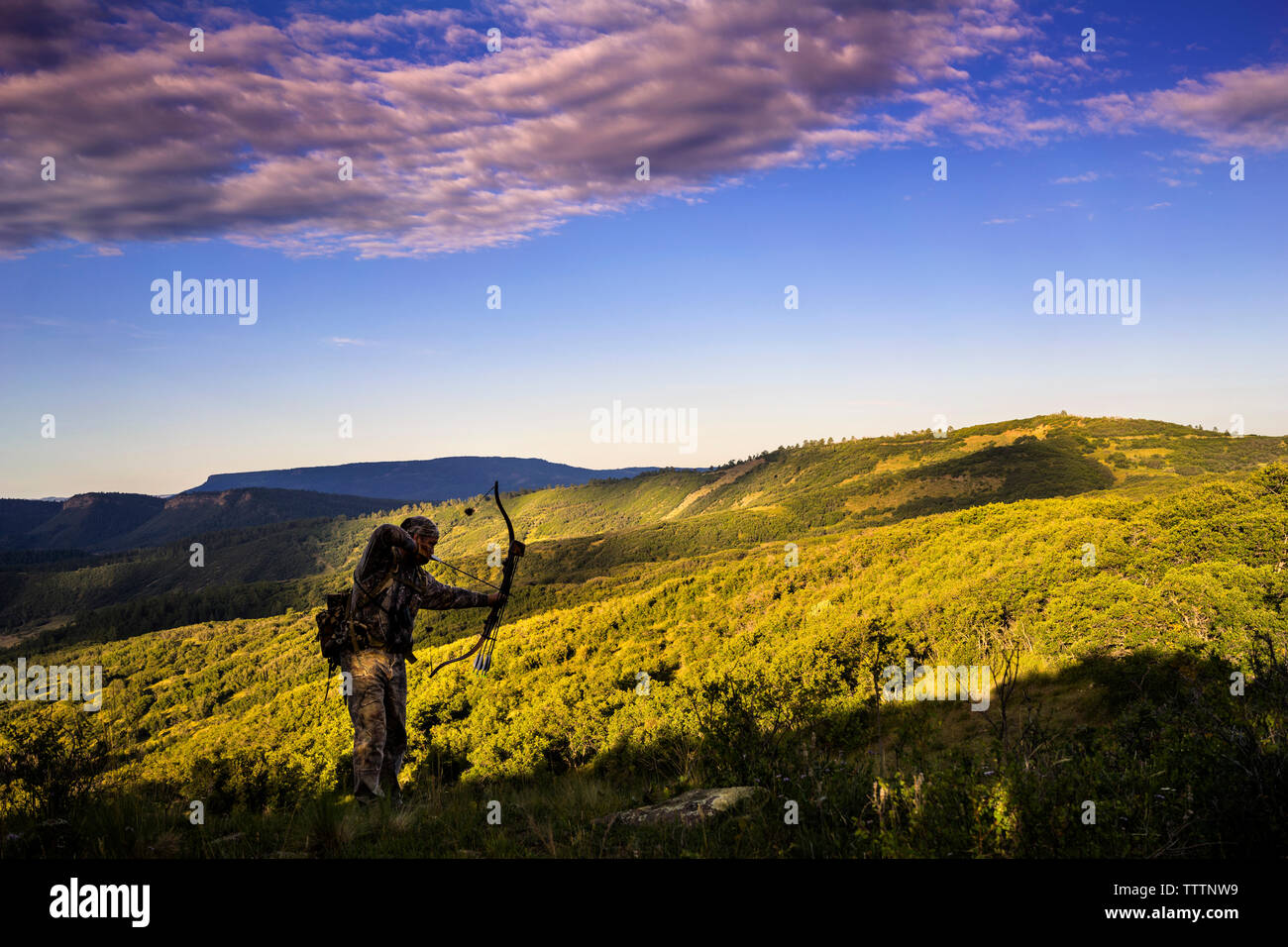 Man Hunting With Bow And Arrow Stock Photos & Man Hunting With Bow And ...