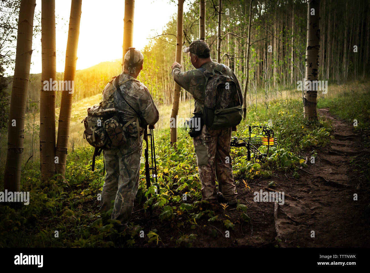 Rear view of hunters discussing in forest Stock Photo - Alamy