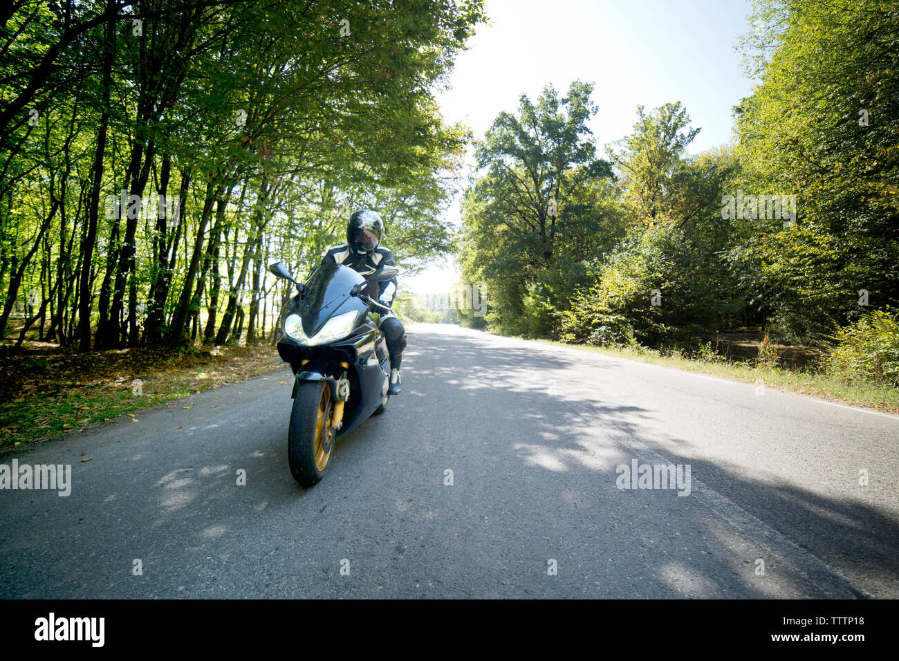 Biker riding motorcycle on road amidst trees Stock Photo - Alamy