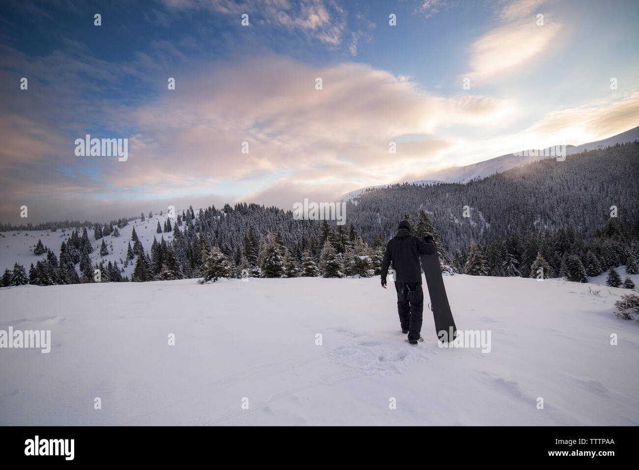Rear view of man carrying ski while walking on snowy mountain Stock ...