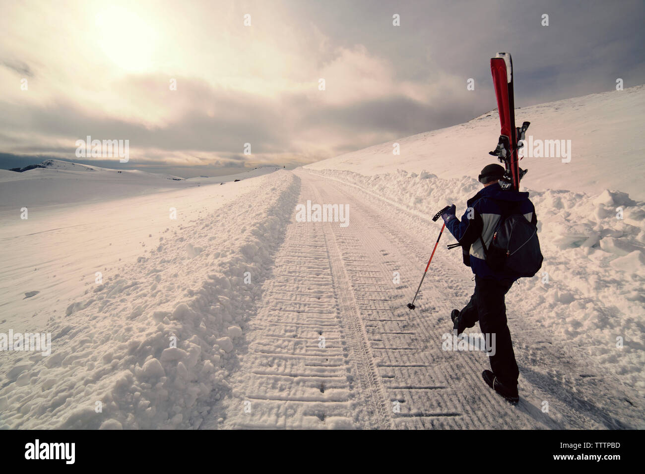 Rear view of man carrying skis while walking on snowy field Stock Photo ...
