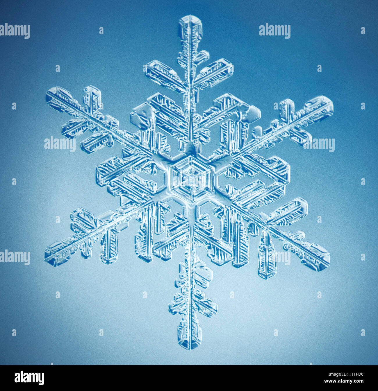 Snowflake blue background hi-res stock photography and images - Alamy