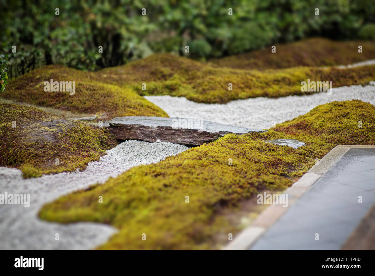 Moss garden japanese hi-res stock photography and images - Alamy