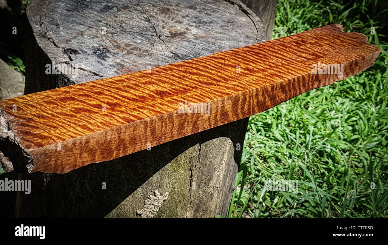 Tiger stripe wood hi-res stock photography and images - Alamy