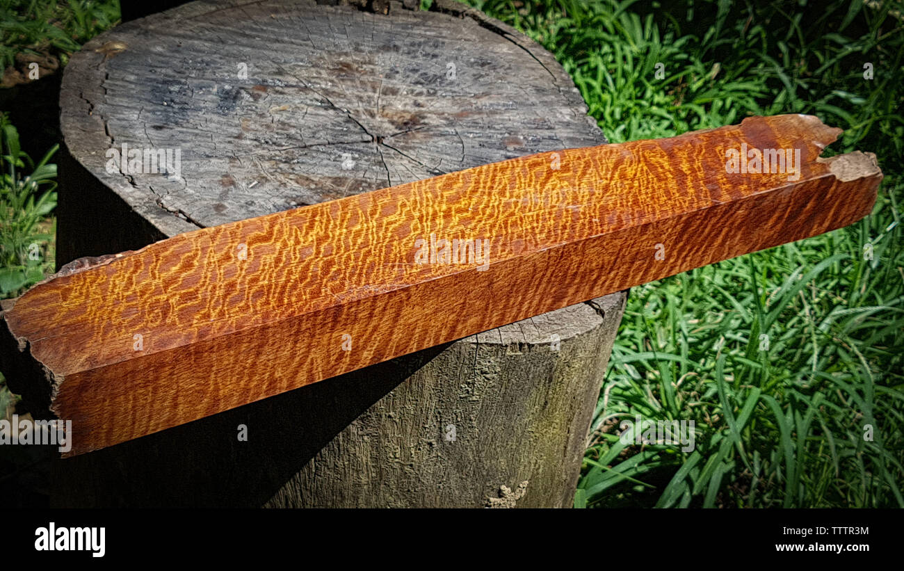 Brazilian raw materials hi-res stock photography and images - Alamy