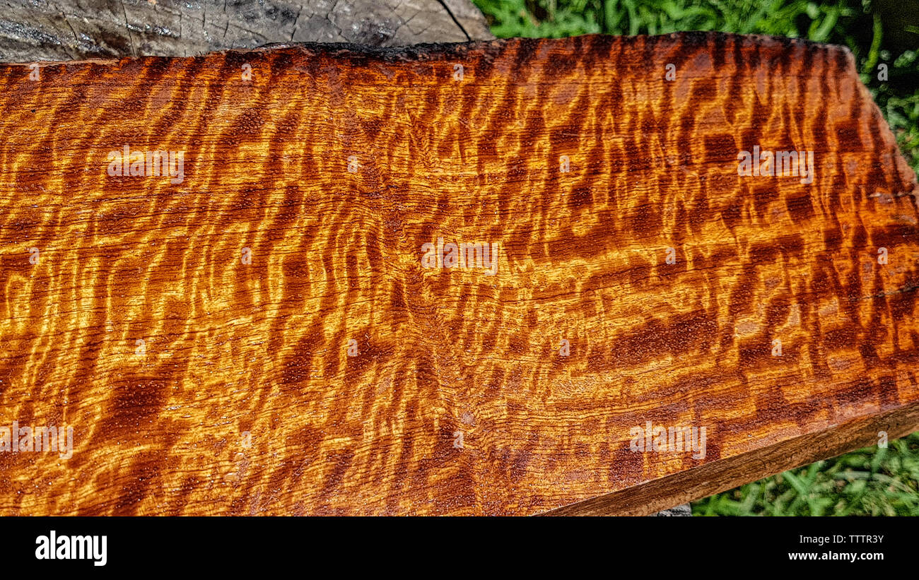 Bubinga wood hi-res stock photography and images - Alamy