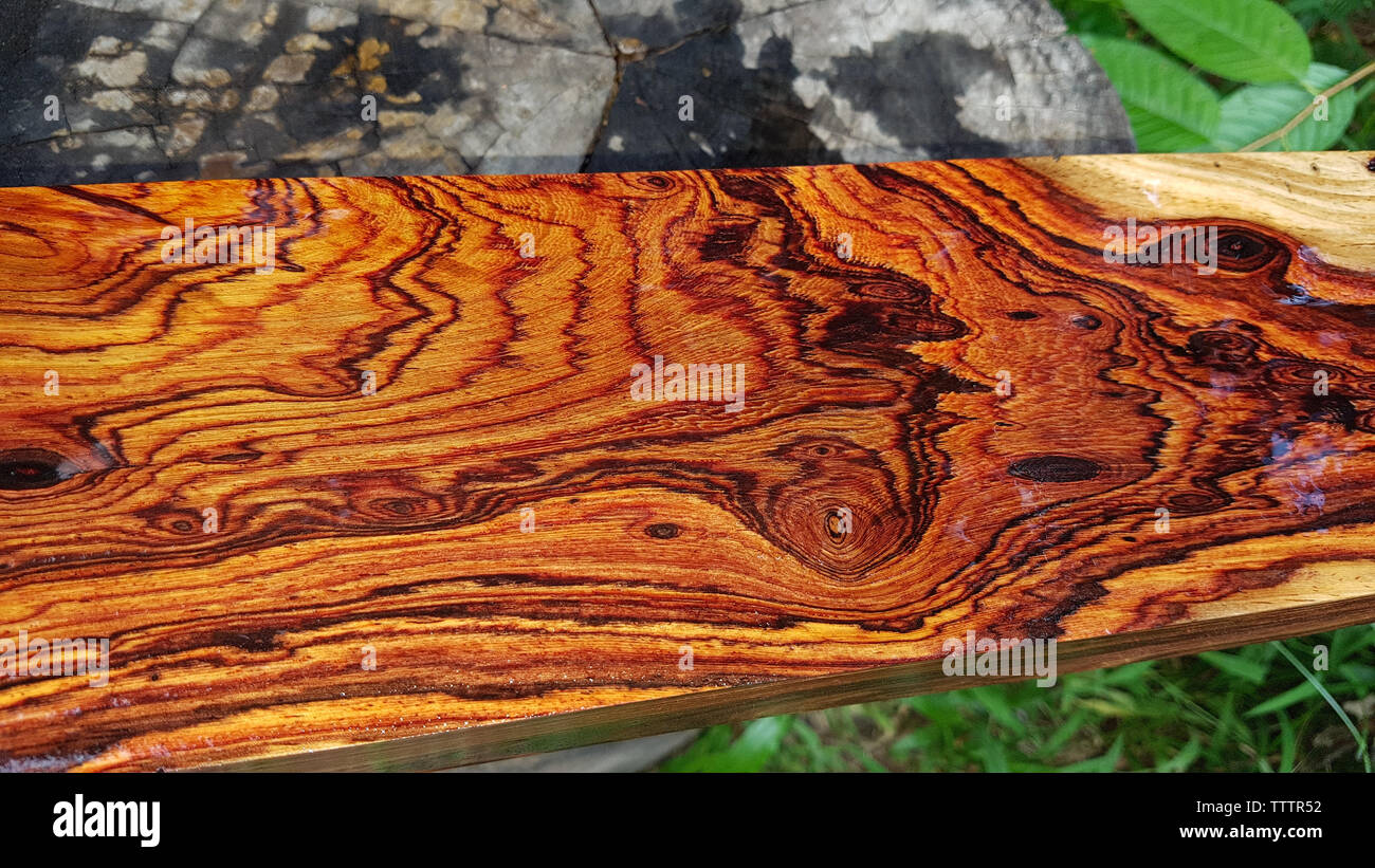 Wood logs of Burmese rosewood, Exotic wooded beautiful pattern for ...