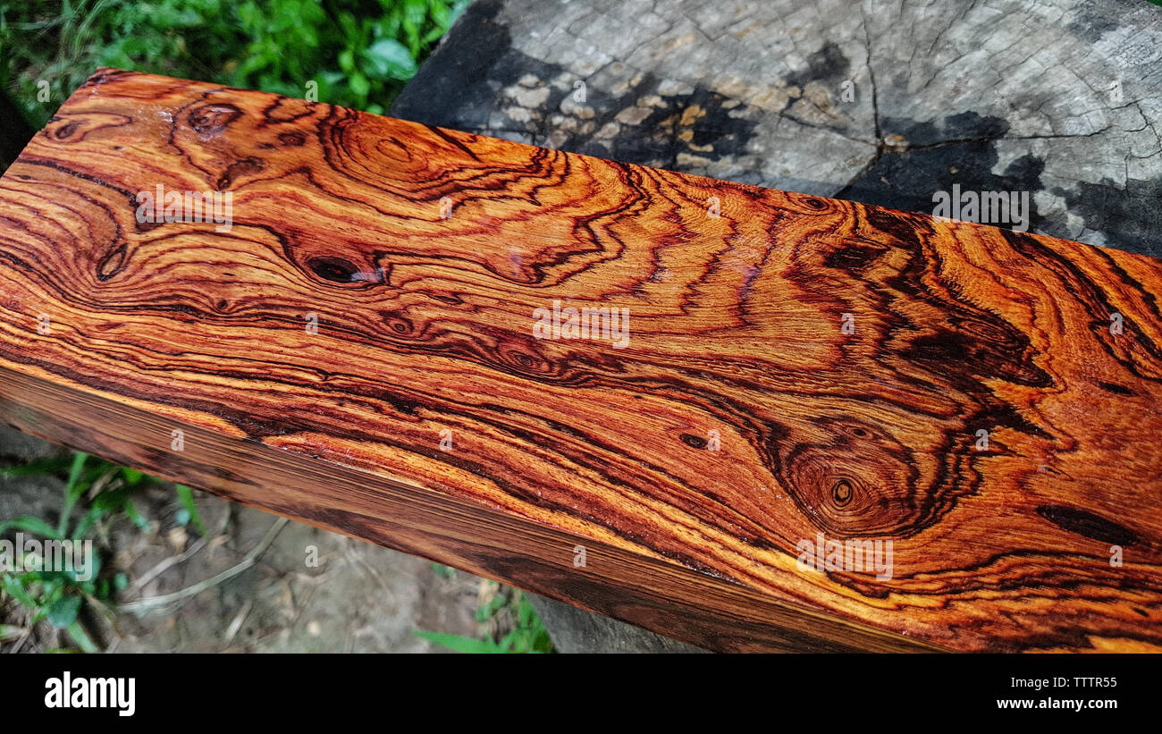 Wood logs of Burmese rosewood, Exotic wooded beautiful pattern for ...