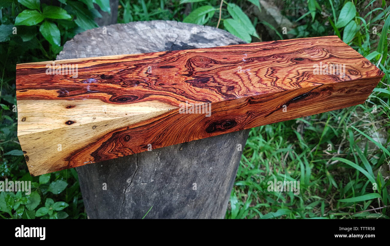 Wood logs of Burmese rosewood, Exotic wooded beautiful pattern for ...