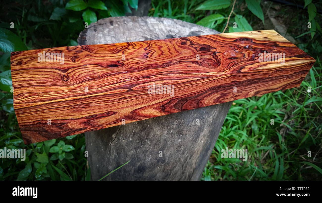 Wood logs of Burmese rosewood, Exotic wooded beautiful pattern for ...