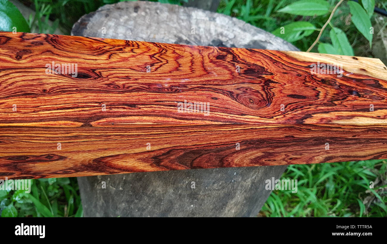 Burmese padauk hi-res stock photography and images - Alamy