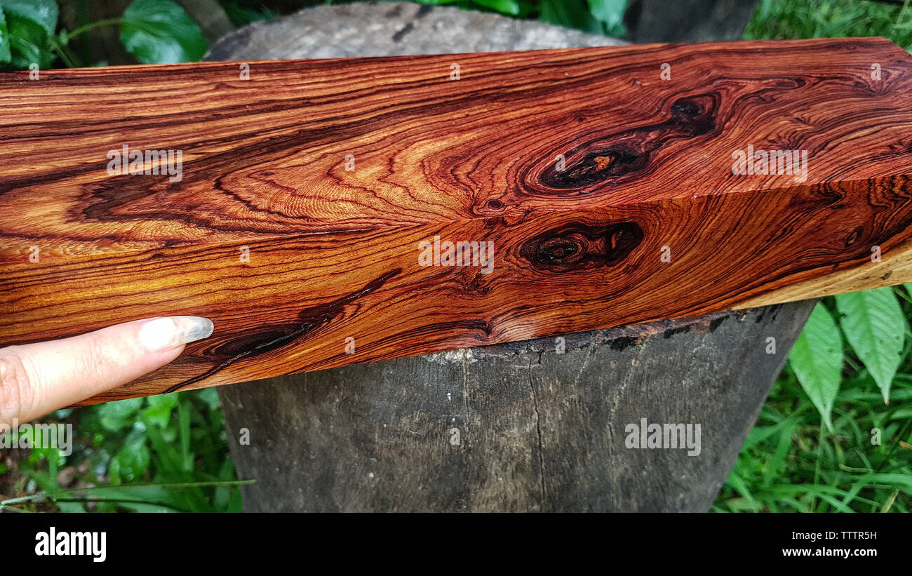Wood logs of Burmese rosewood, Exotic wooded beautiful pattern for ...