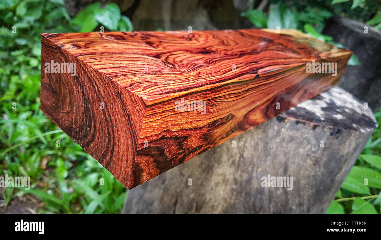 Wood logs of Burmese rosewood, Exotic wooded beautiful pattern for ...