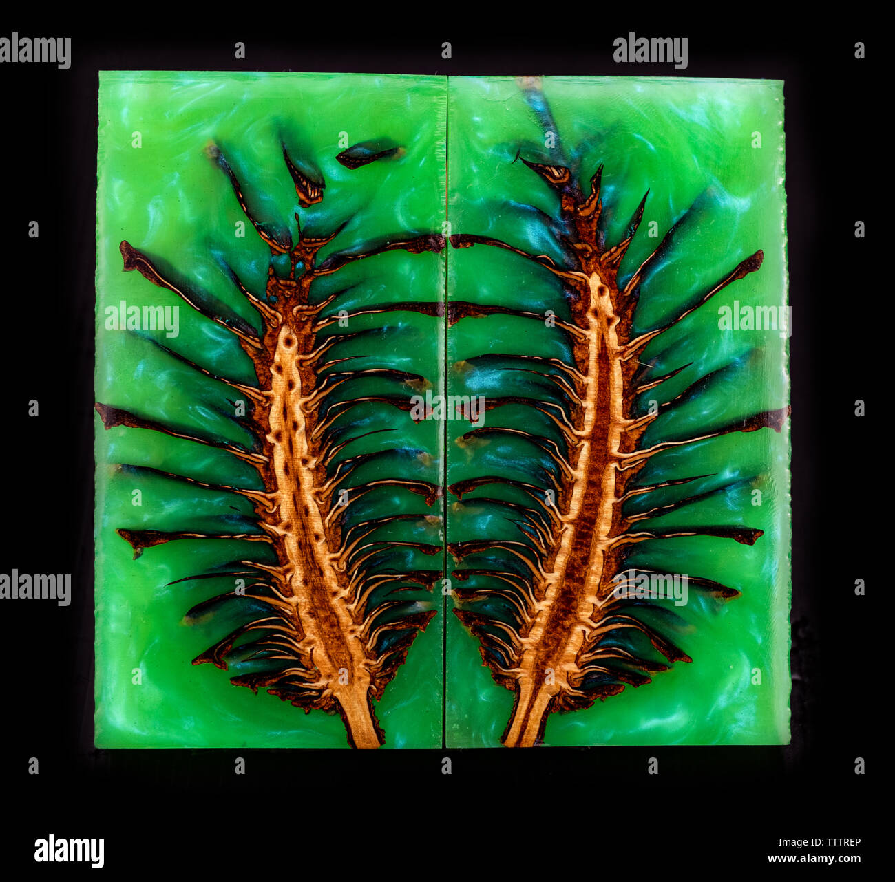 Casting epoxy resin stabilizing Pine cone abstract art background Stock ...