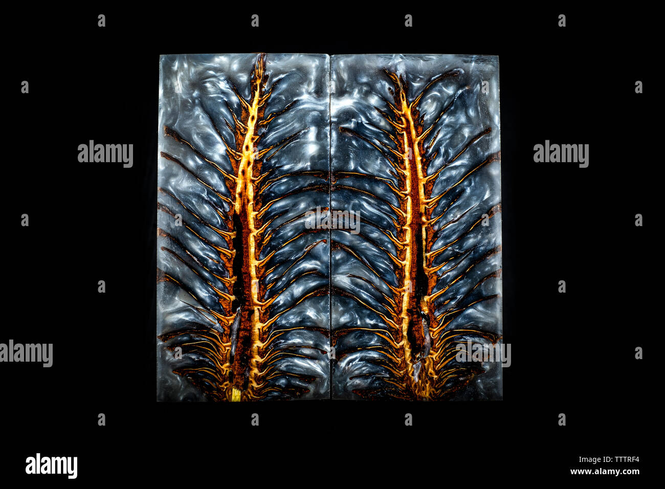 Casting epoxy resin stabilizing Pine cone abstract art background Stock ...