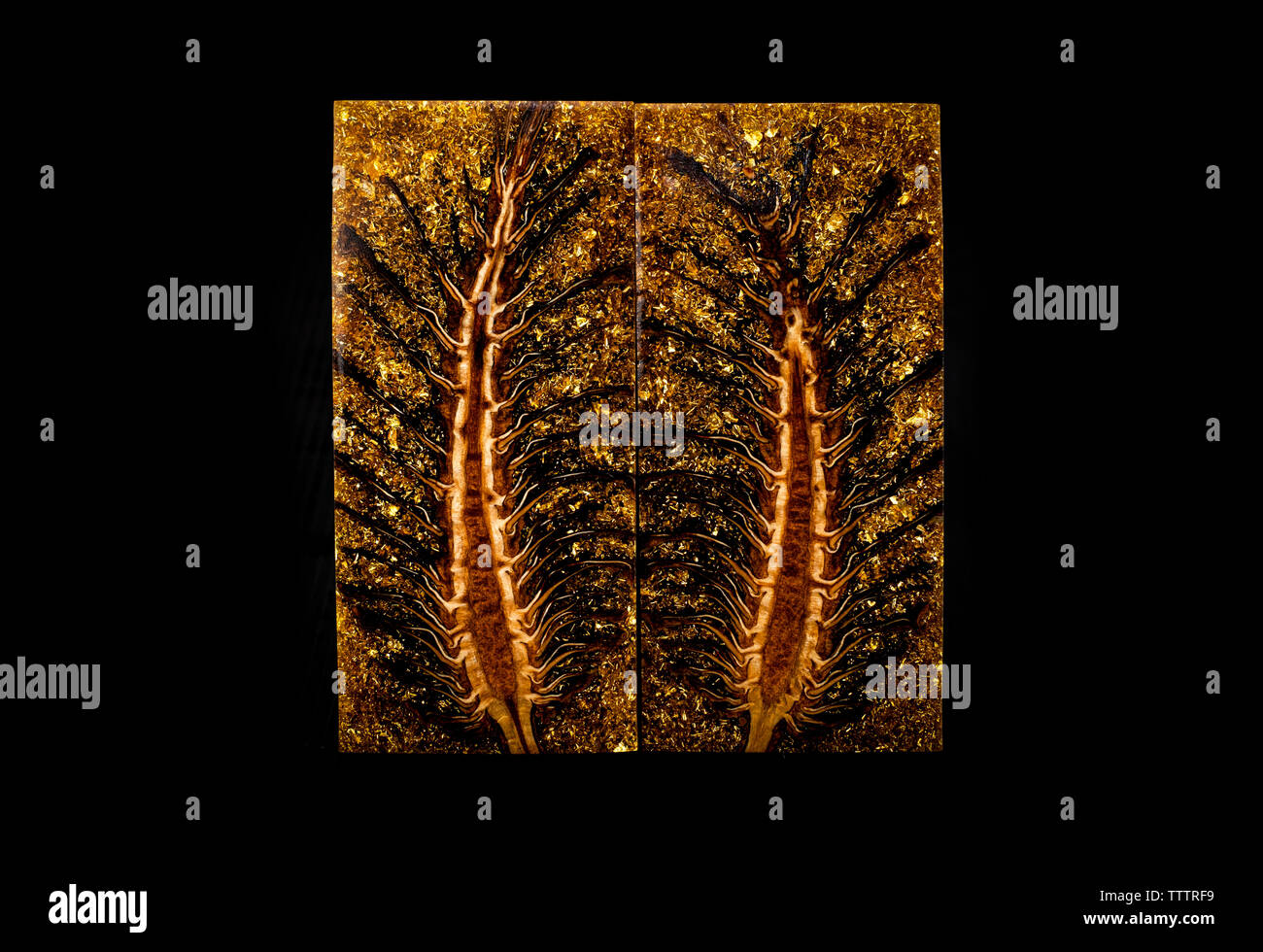 Casting epoxy resin stabilizing Pine cone abstract art background Stock ...