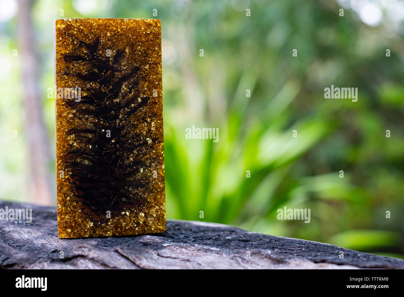 Resin pine cone Stock Photo - Alamy