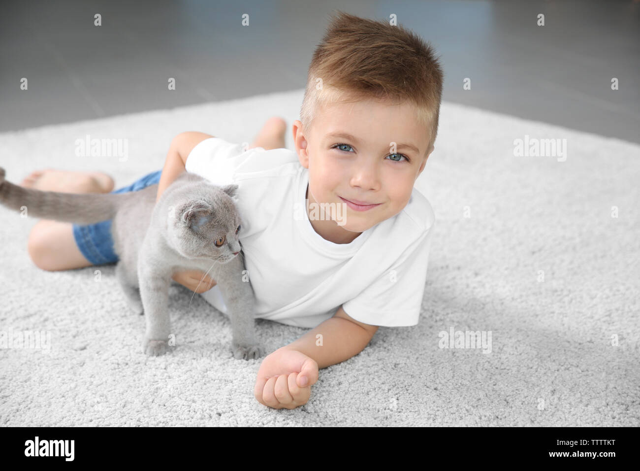 Little boy with British kitten on floor indoors Stock Photo - Alamy