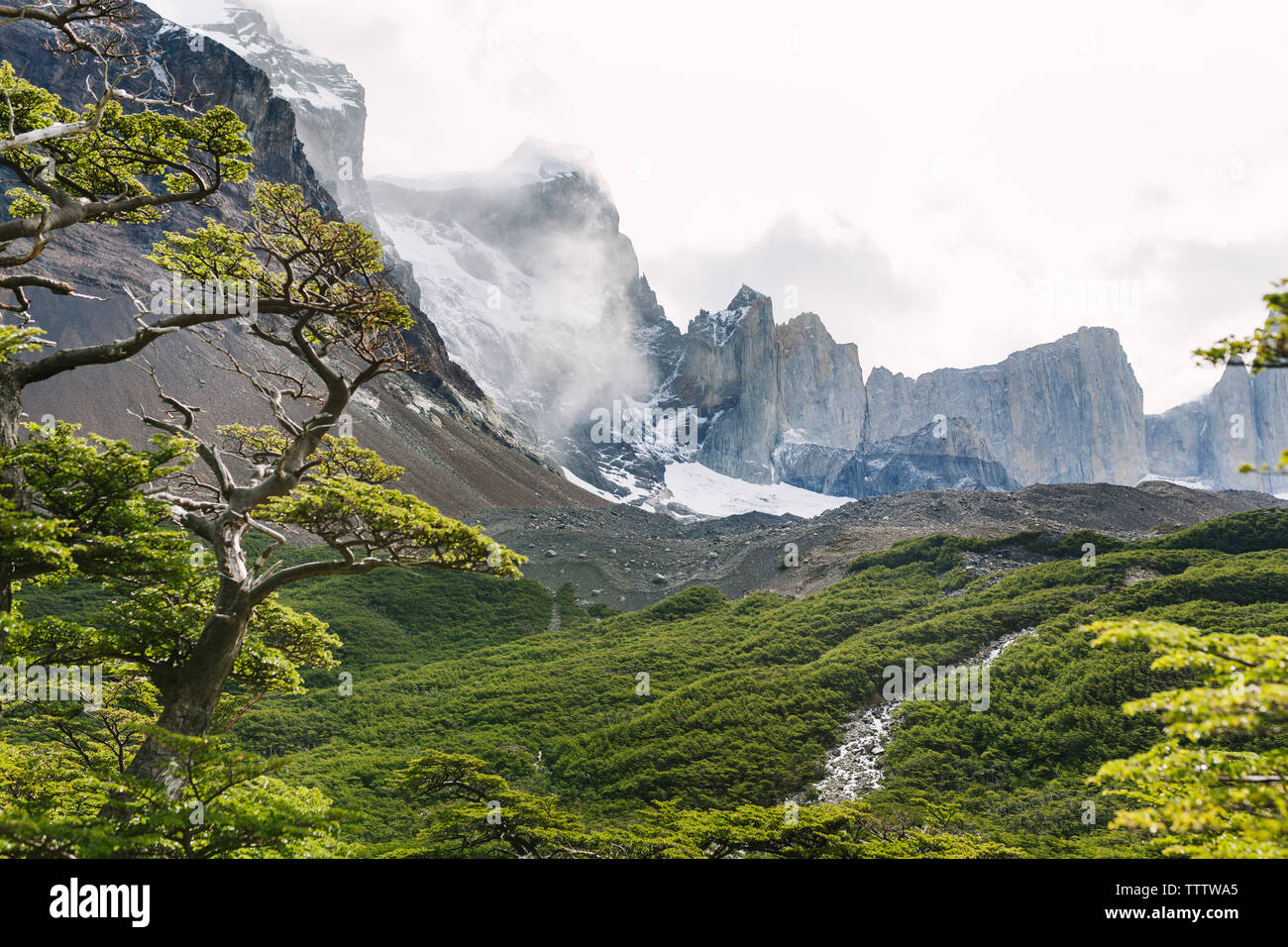 W Trail Patagonia High Resolution Stock Photography and Images - Alamy