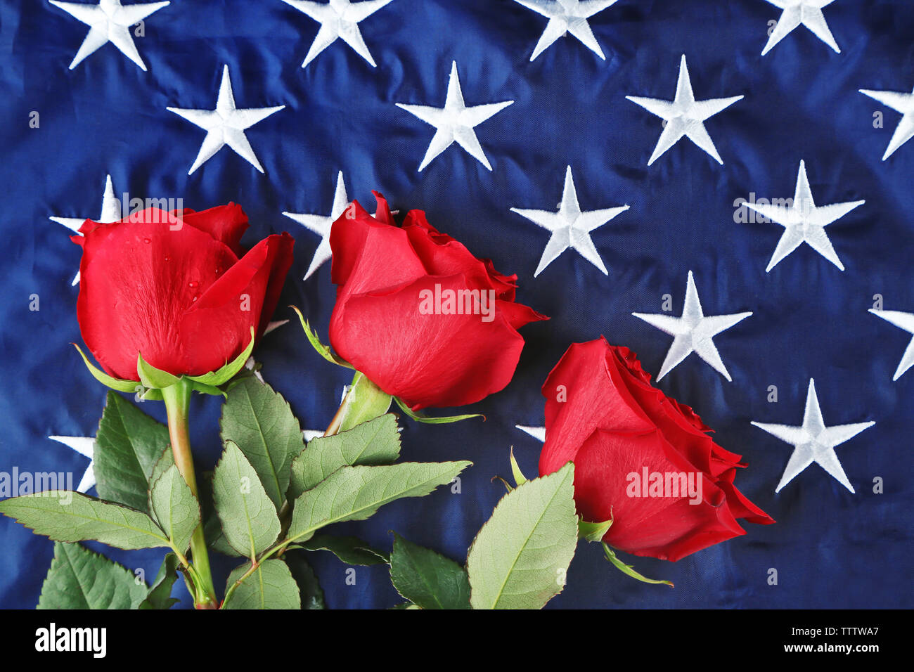 Red roses on American flag, closeup Stock Photo - Alamy