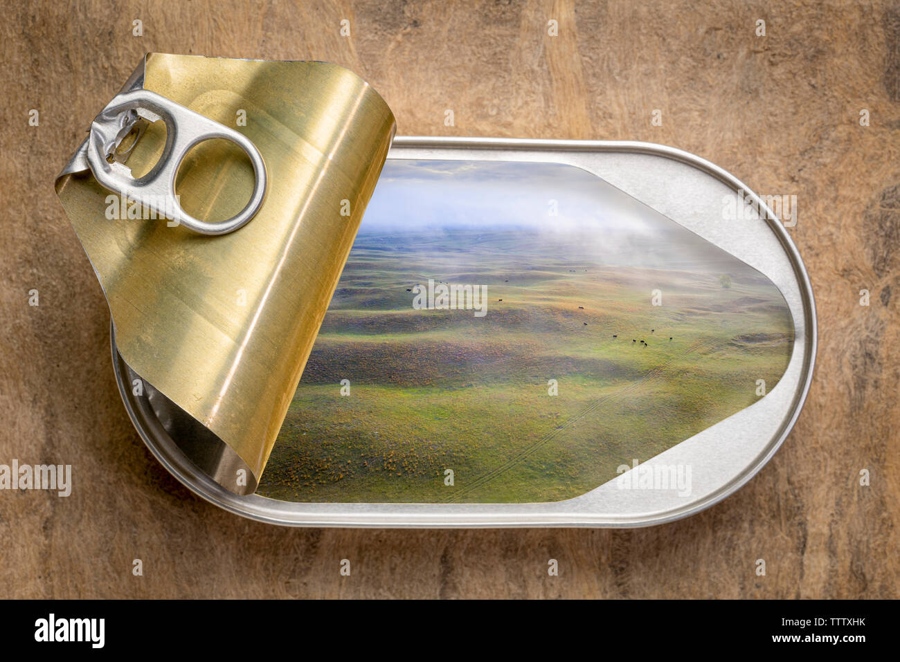 fresh spring landscape of hilly meadows in an open tin can, top view ...