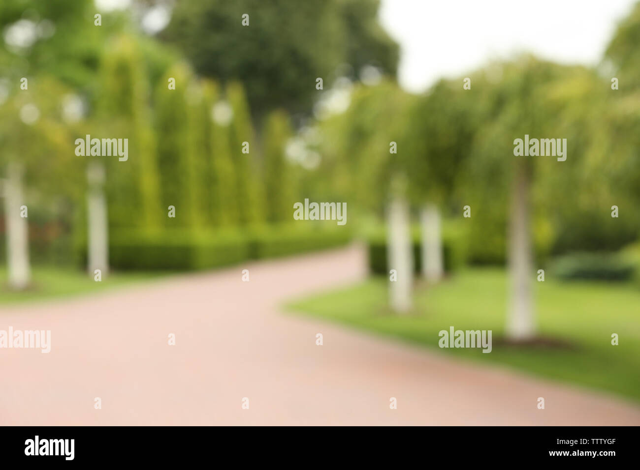 Blurred landscape with trees and road Stock Photo - Alamy