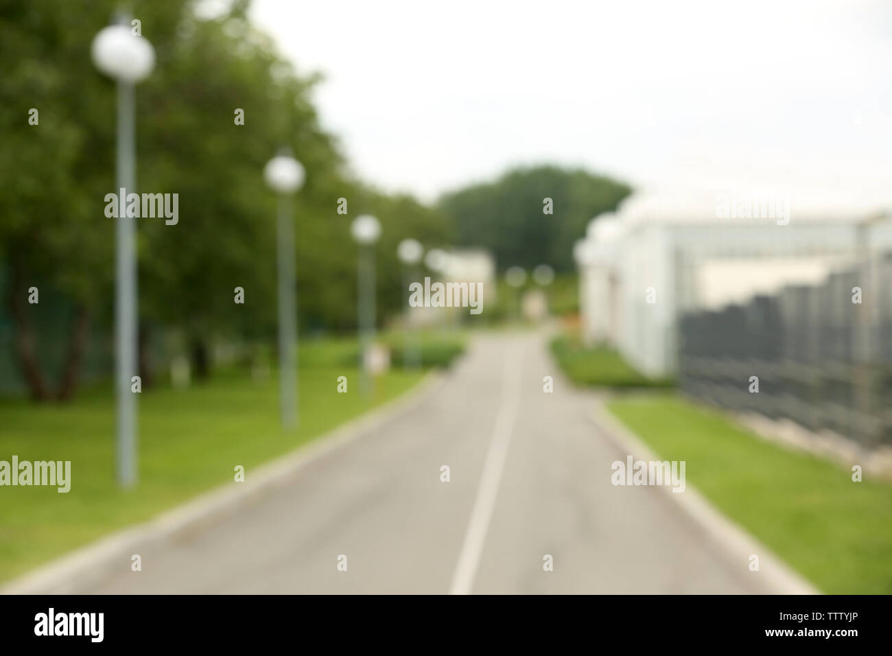Trees and bushes growing along asphalt road Stock Photo - Alamy