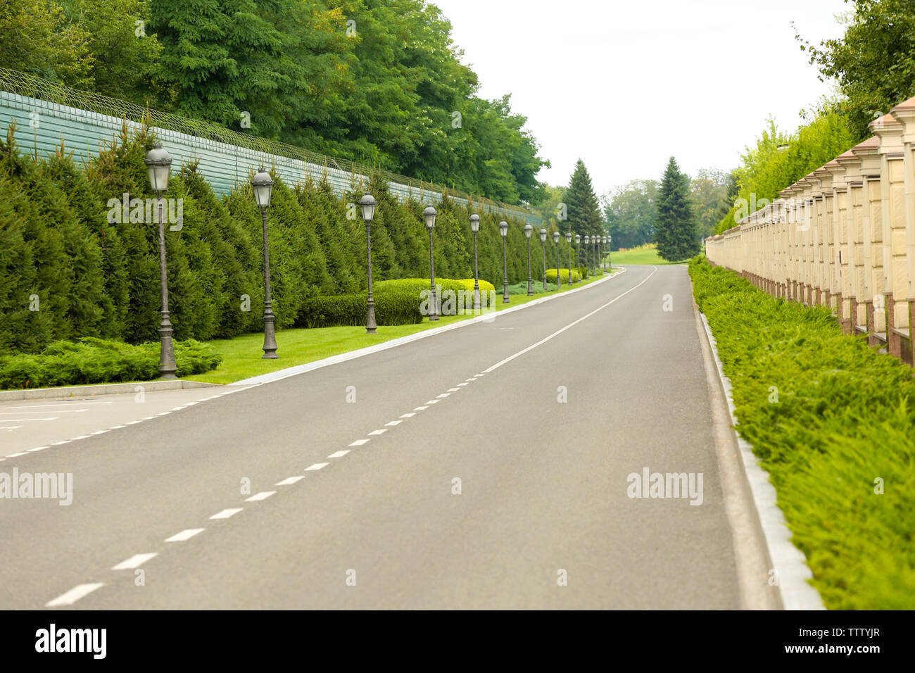 Trees and bushes growing along asphalt road Stock Photo - Alamy